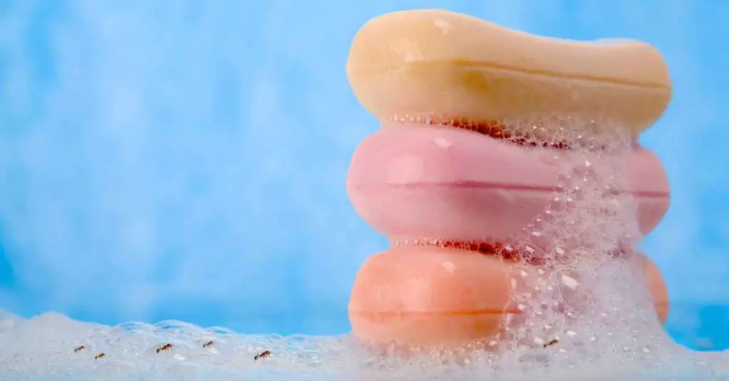 Why Do Ants Die in Soap? (Explained)