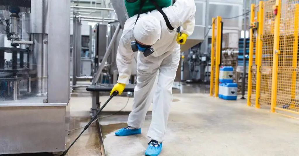 11 Best Ant Control in Boston, MA - Ants Authority